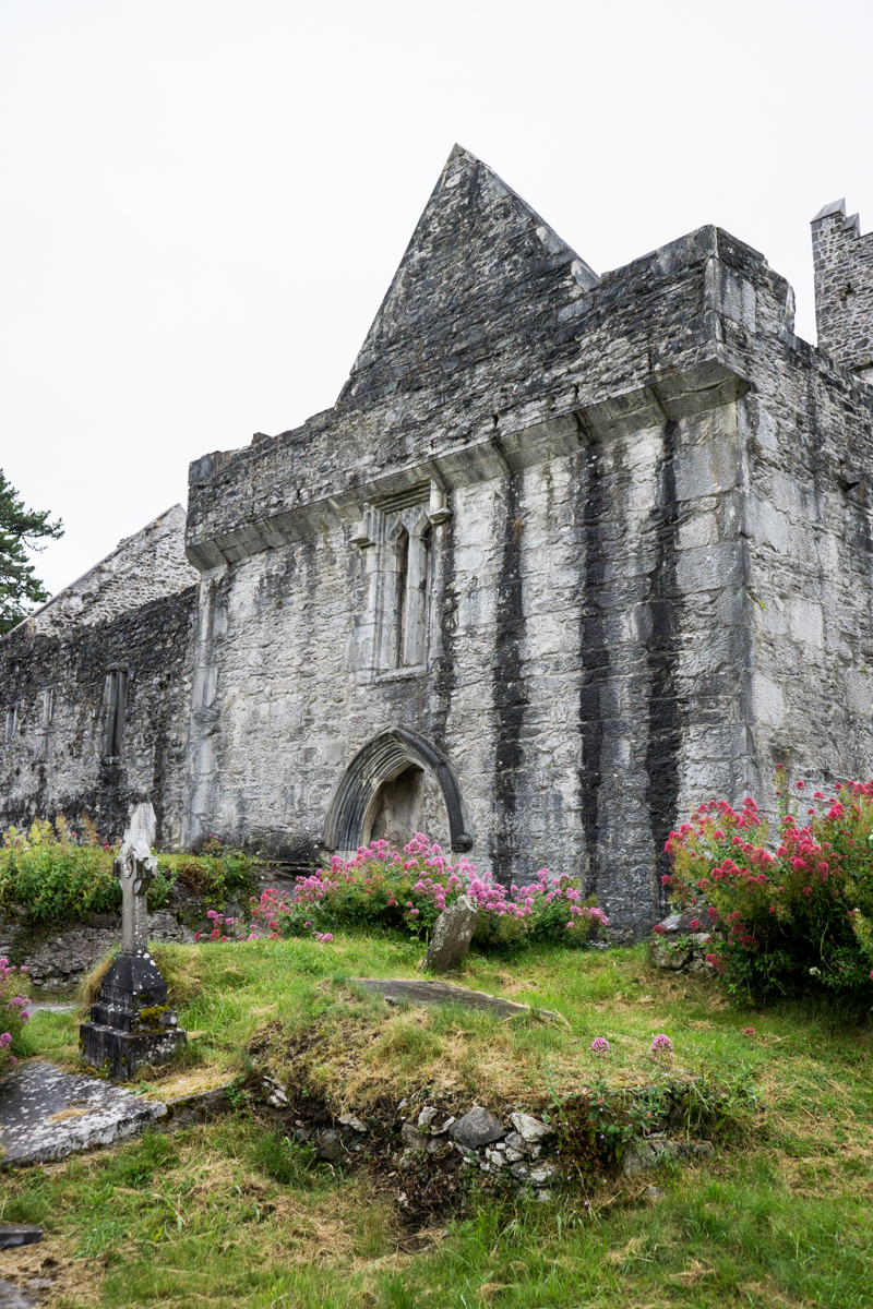 Ireland Muckross Abbey - Agent Athletica